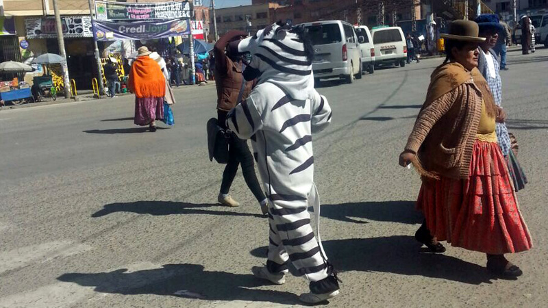 Wenn ein Zebra den Verkehr regelt – weltkirche.blog